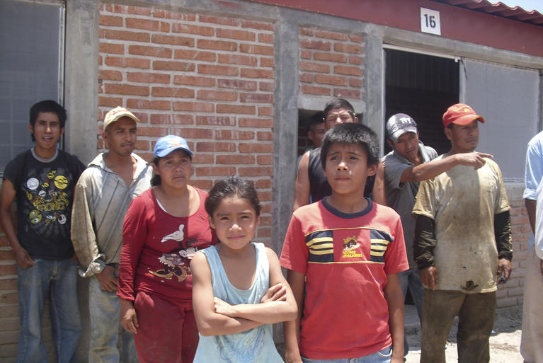 Desperate workers on a Mexican mega-farm: 'They treated us like slaves ...